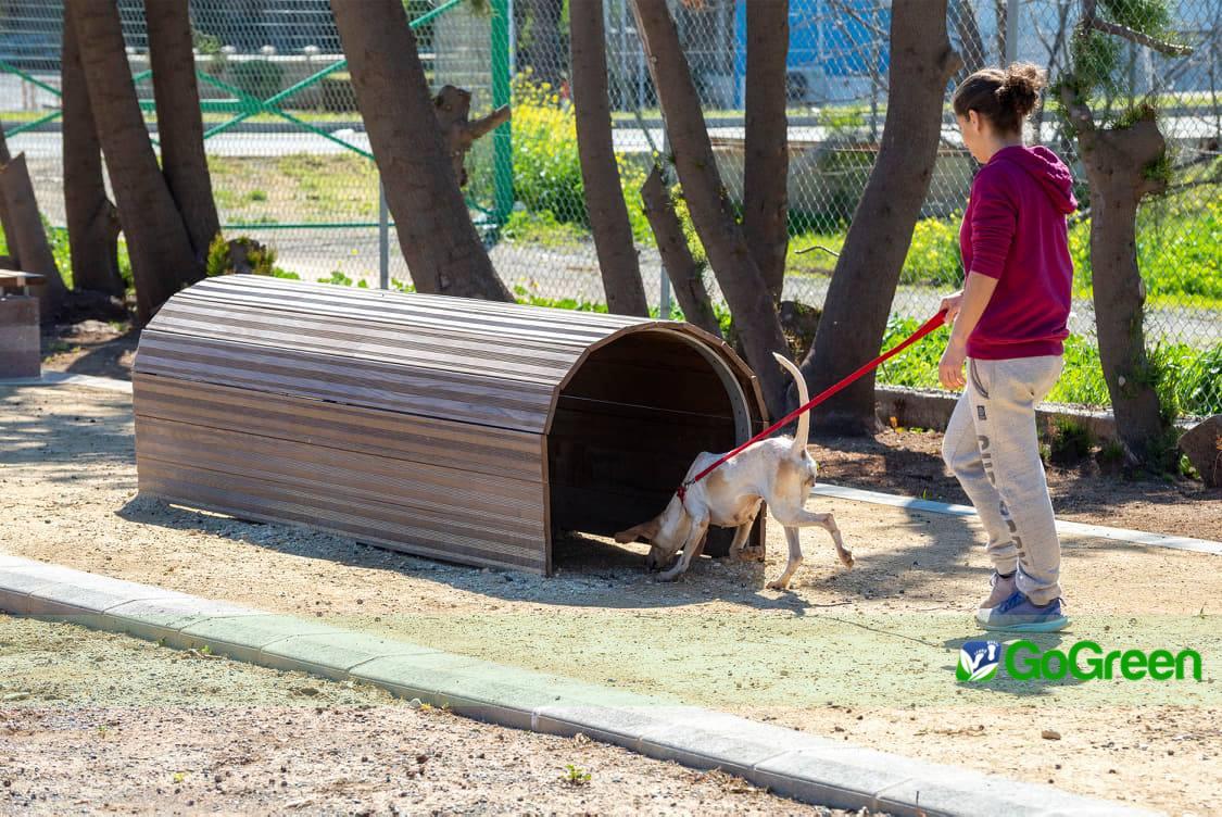 Λειτούργησε το πάρκο σκύλων στη Λεμεσό - GoGreen