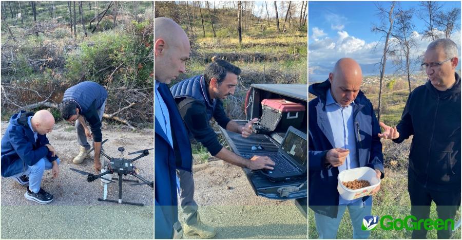 Αναδάσωση με σπορά από drone - GoGreen